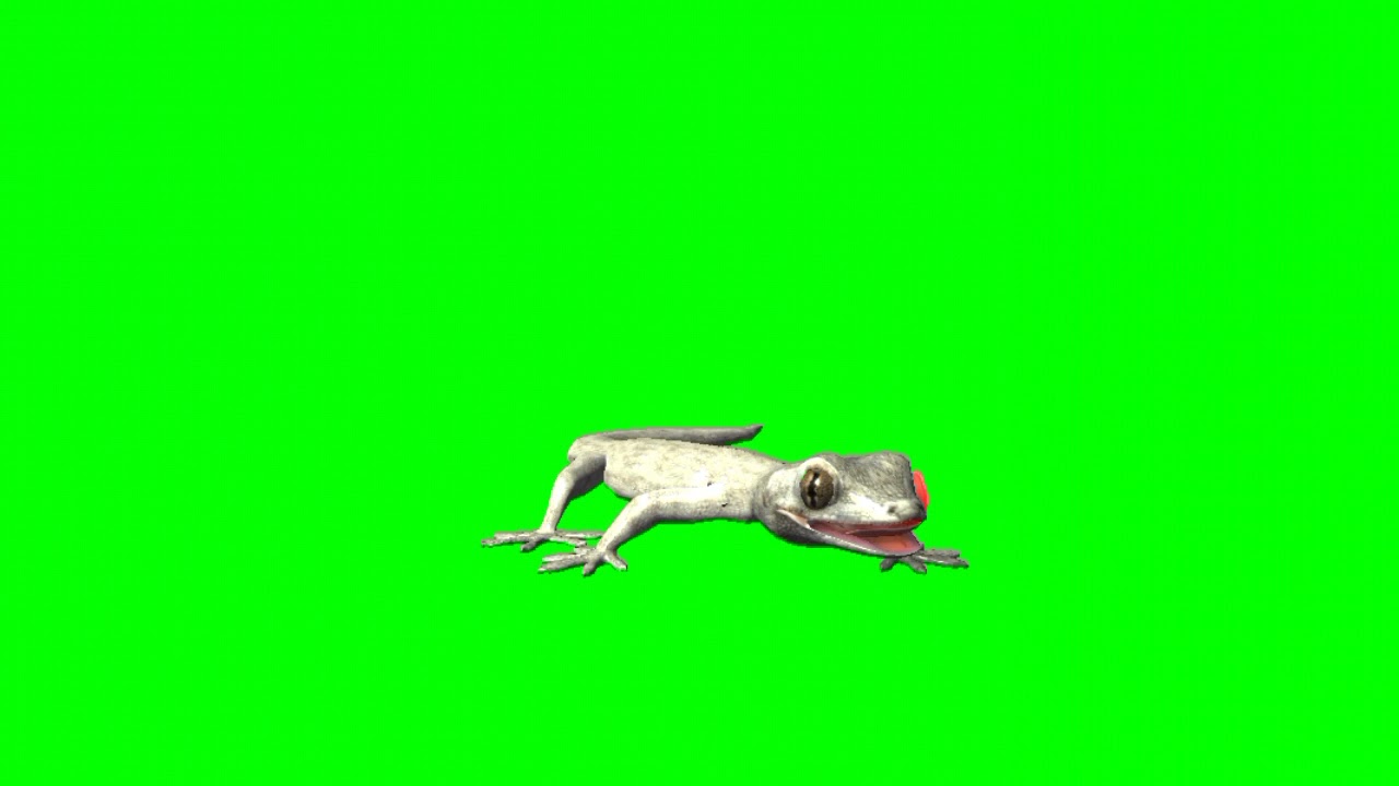free copyright Lizard green screen videos, 3d Lizard animated green ...