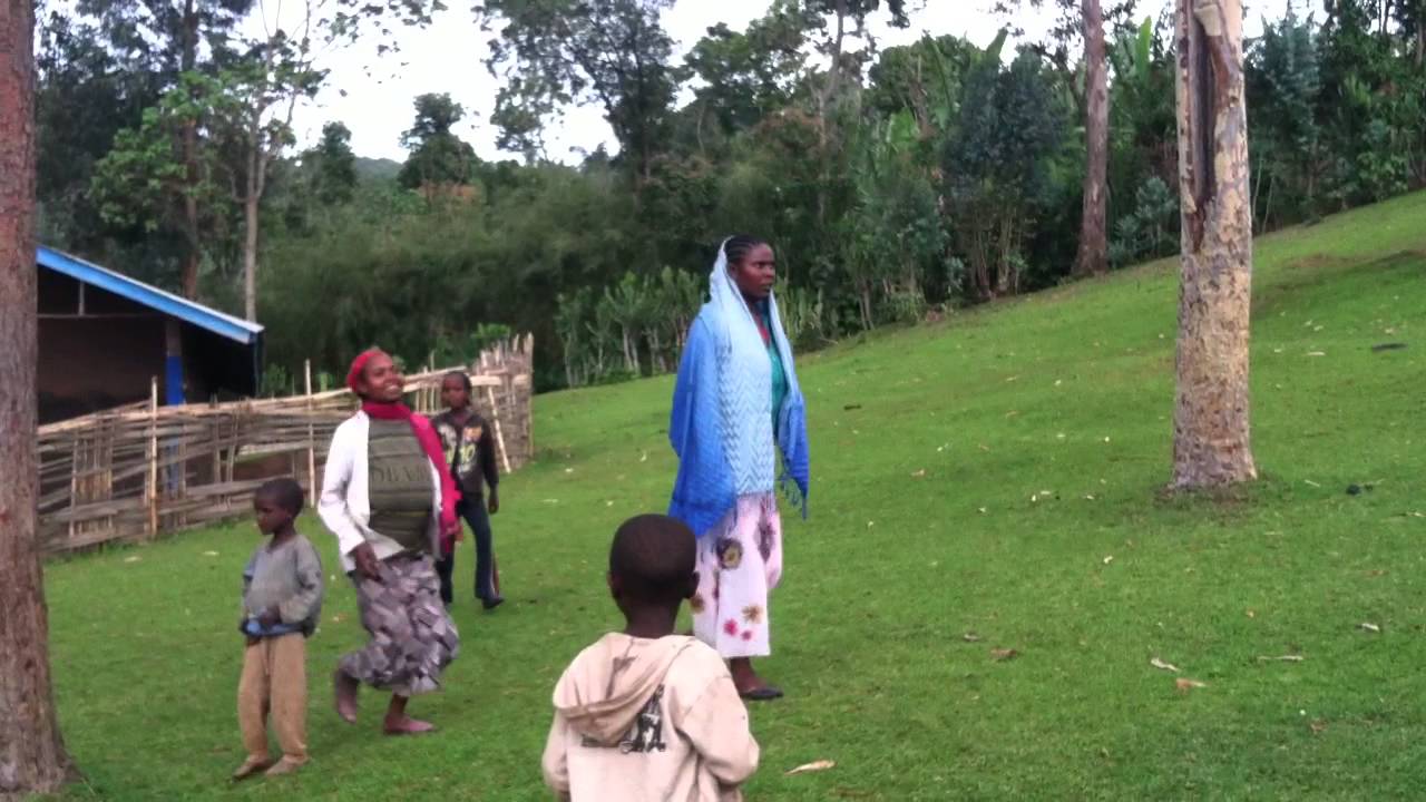 Tsegereda's Homecoming - YouTube