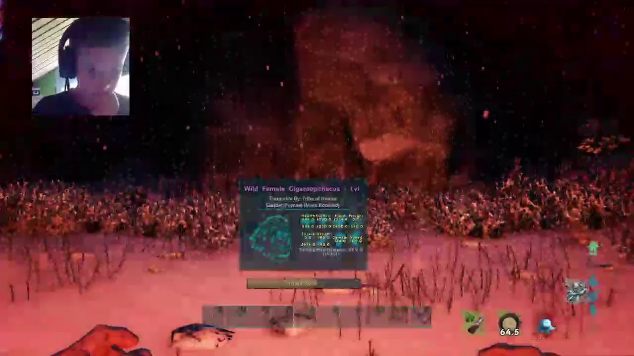 Manta race. Ark genesis 2 - YouTube