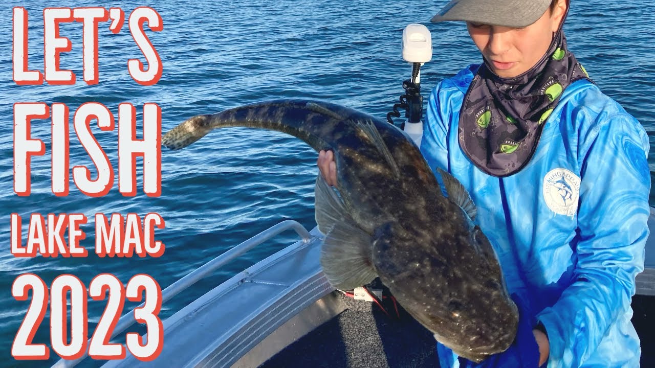 Huge flathead lands Blake 2nd place 🥈 in the “LETS FISH LAKE MAC” 2023 ...