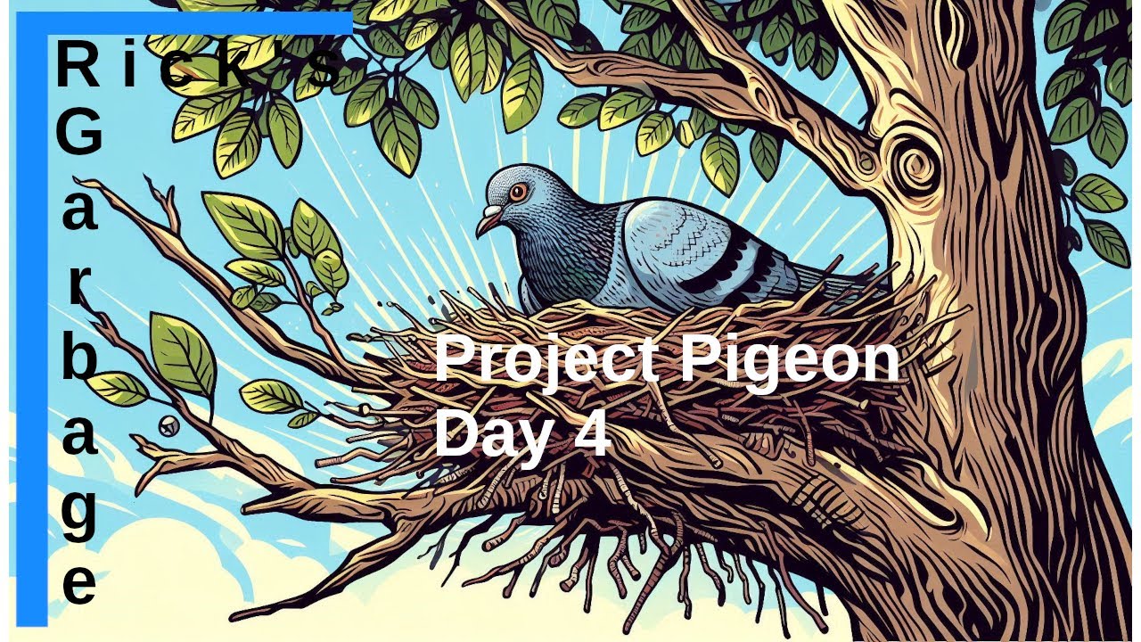 Project Pigeon: Time Lapse Day 4 - YouTube