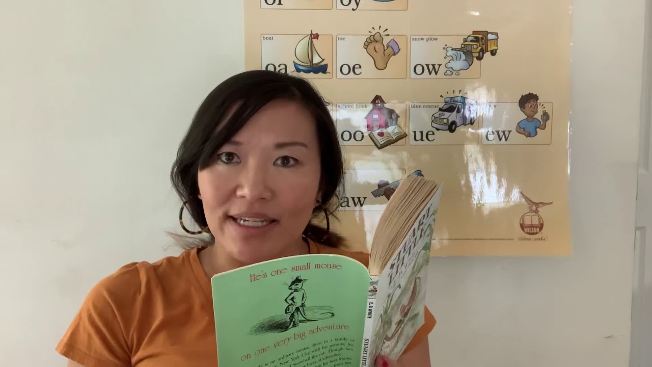 Read Aloud - Stuart Little Chapter 15 - YouTube