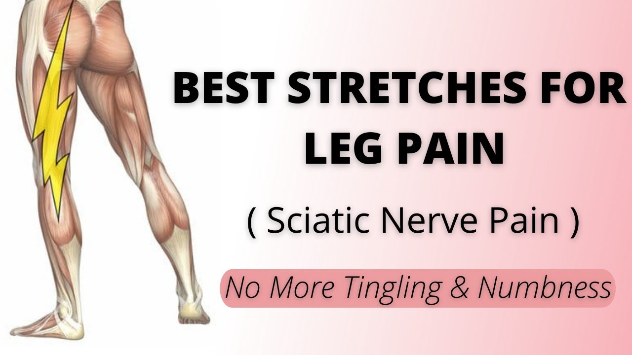 Best Stretches for Leg Pain | Sciatic Nerve Pain | No More Tingling ...