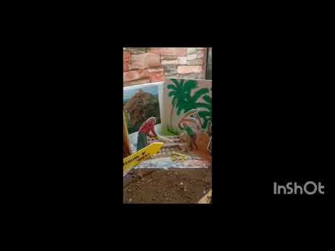 School kids project processing of grains - YouTube