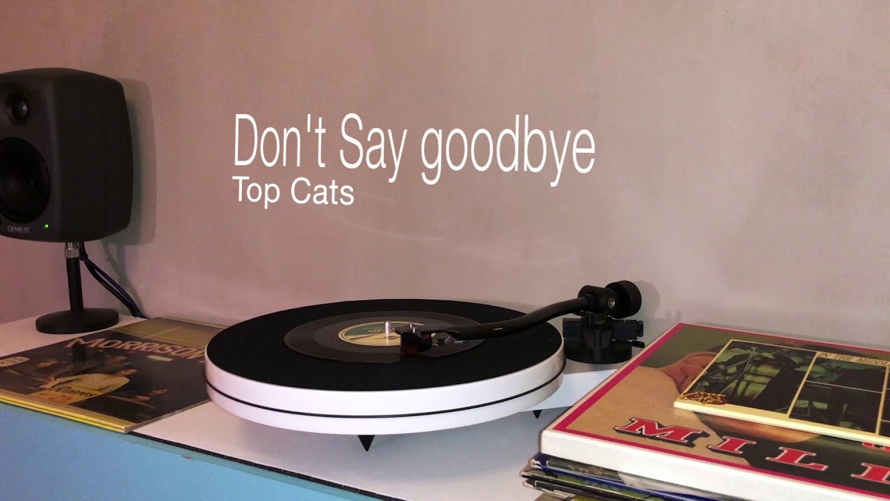 Top Cats - Don't Say Goodbye - YouTube