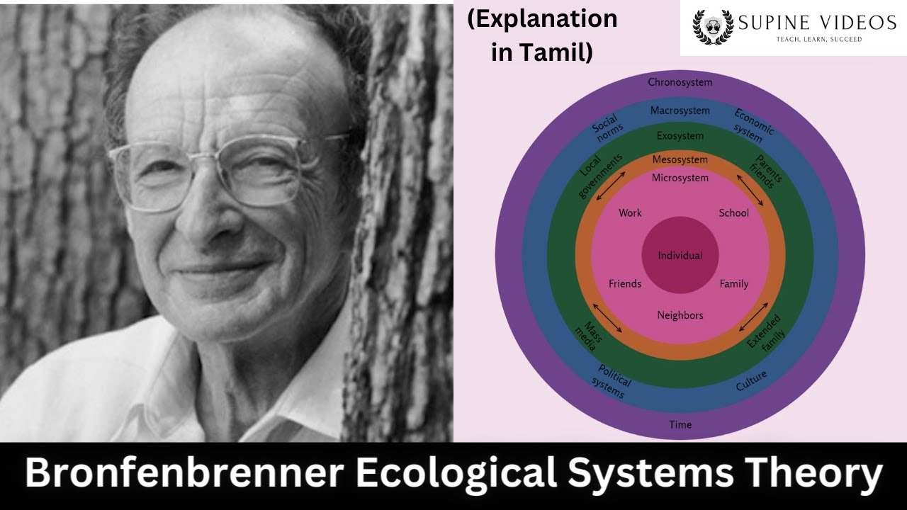 Ecological Systems Theory | Five Environmental Systems | Bronfenbrenner ...