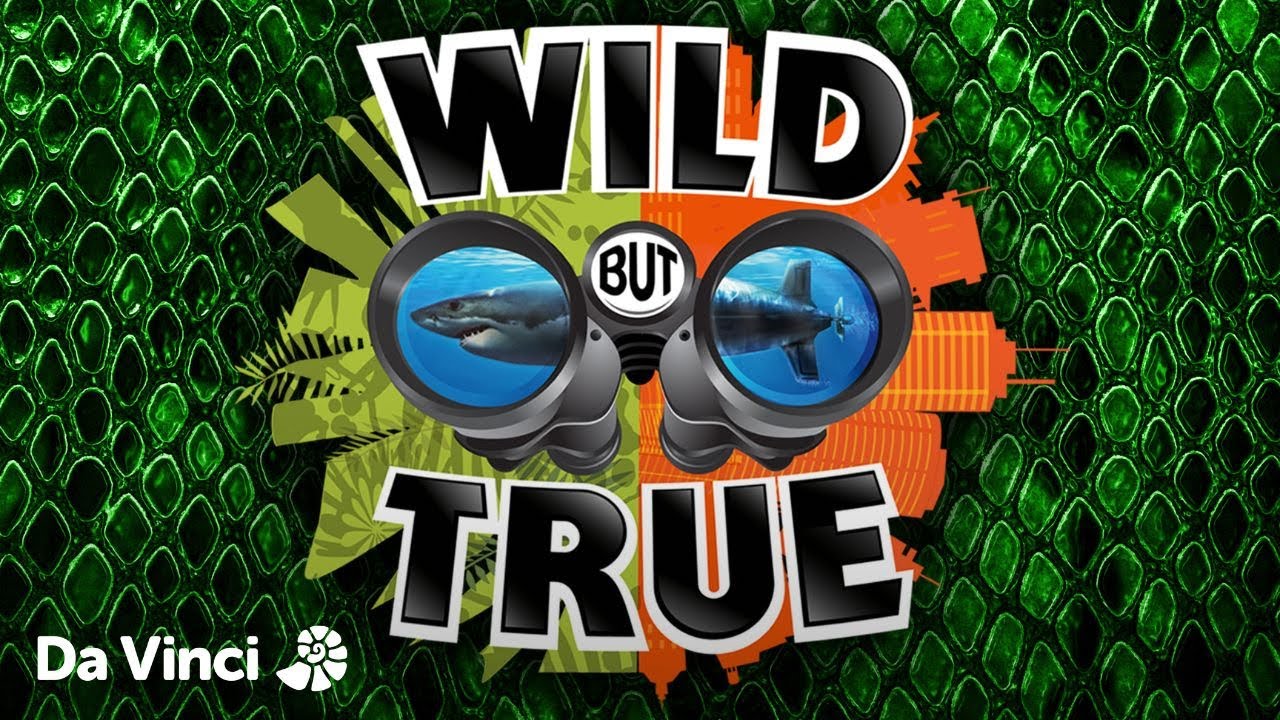 Wild But True With Robert Irwin – Official Trailer I Da Vinci - YouTube