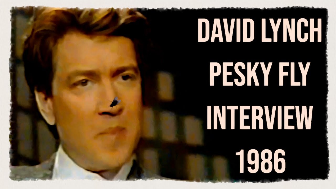 David Lynch pesky fly interview 1986 - YouTube