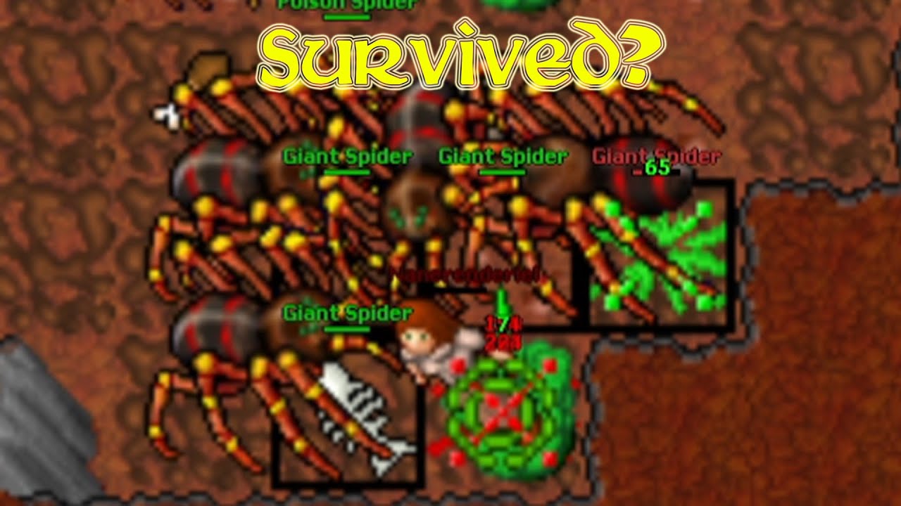 Could 74 EK Survive 4 Giant Spiders? (Calmera 2005 - RL Tibia 7.4 ...