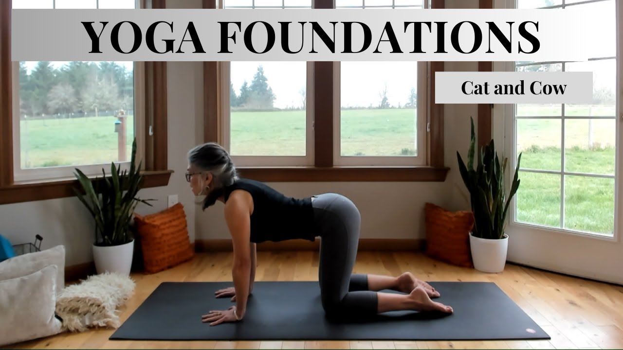Yoga Foundations Cat and Cow Poses - YouTube