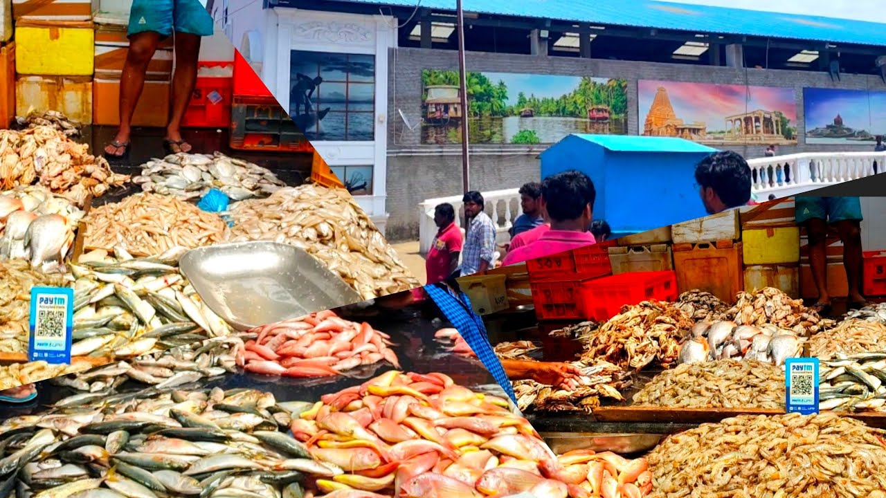 Vanagaram fish market | Sea Food | Fish lover | Very Cheapest Price in ...