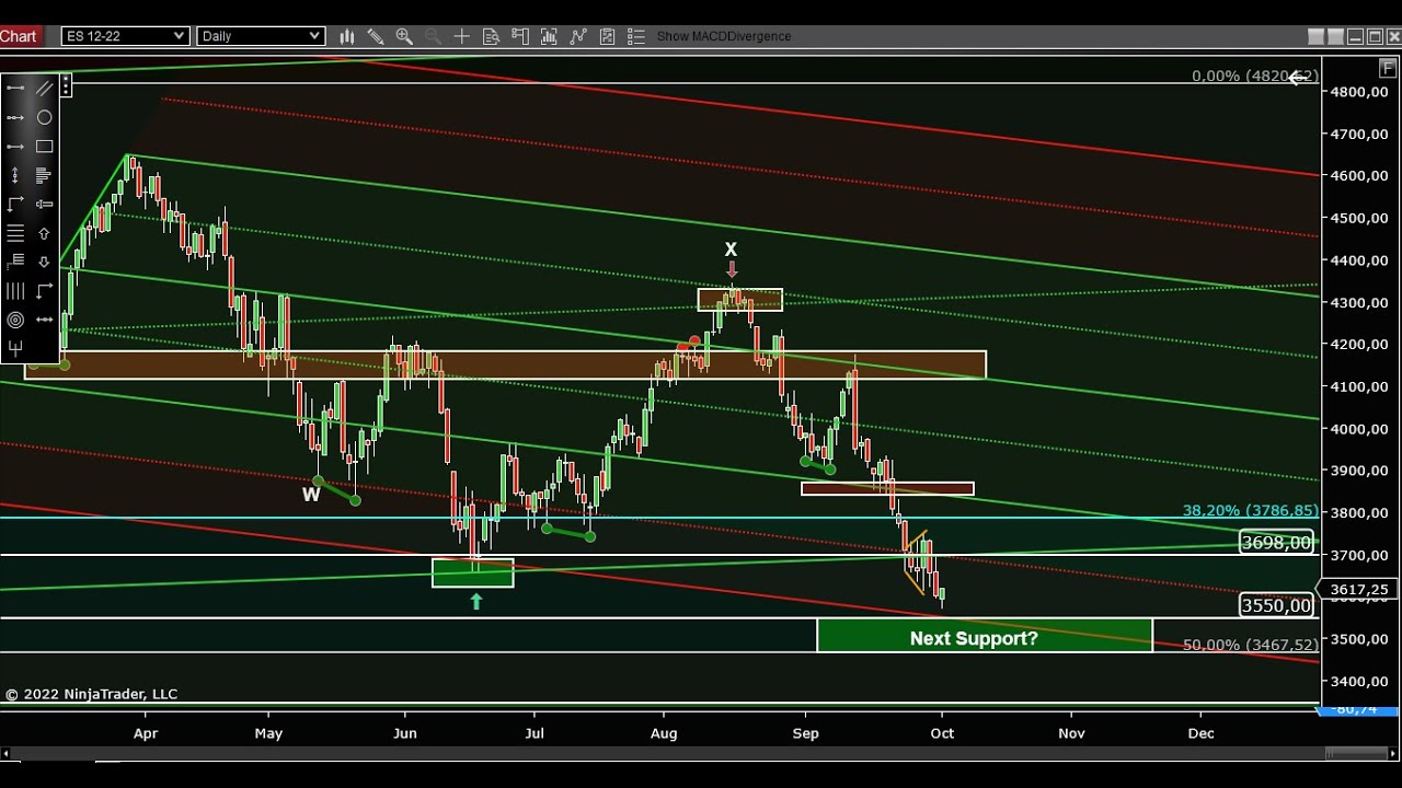 Ninjacators Morning Bell - YouTube