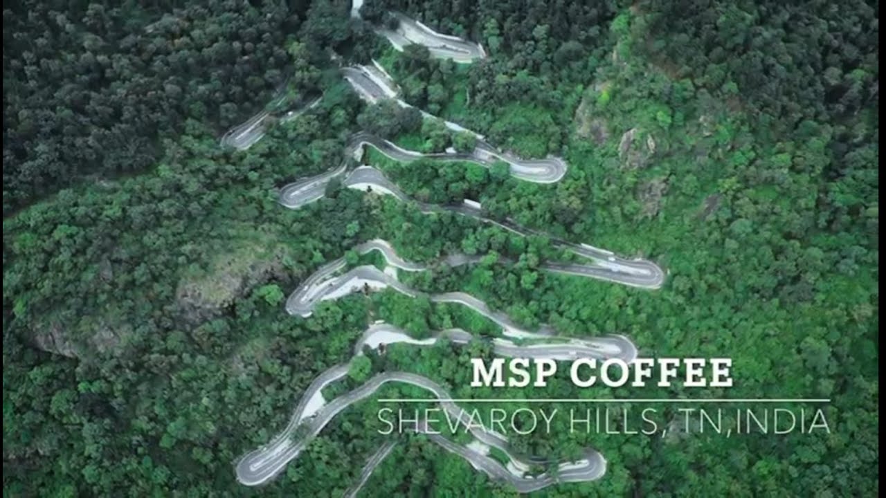Hill Tiller x MSP Coffee - The magnificent journey from bean to cup ...