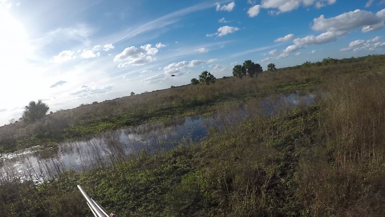 Snipe Hunting Florida - YouTube
