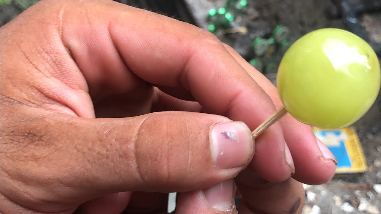 Tutorial de como hacer uvas de caramelo.ft:grupo primer semestre - YouTube