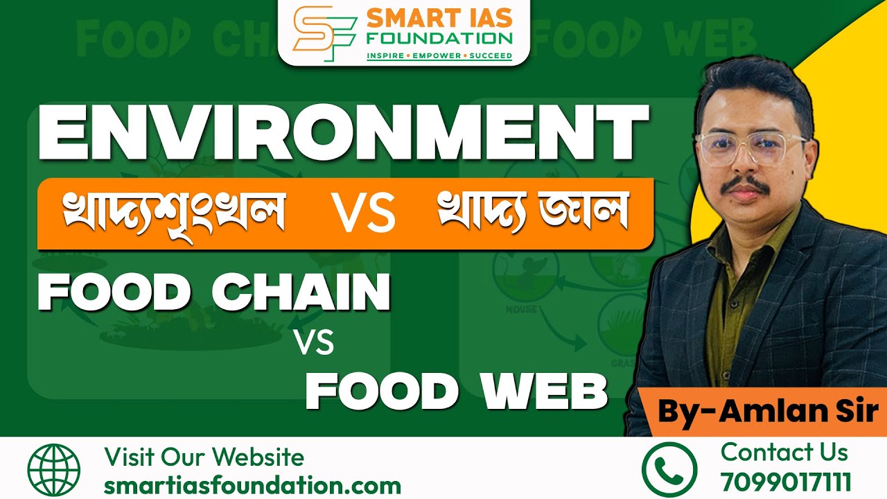 খাদ্যশৃংখল VS খাদ্য জাল | FOOD CHAIN VS FOOD WEB - YouTube