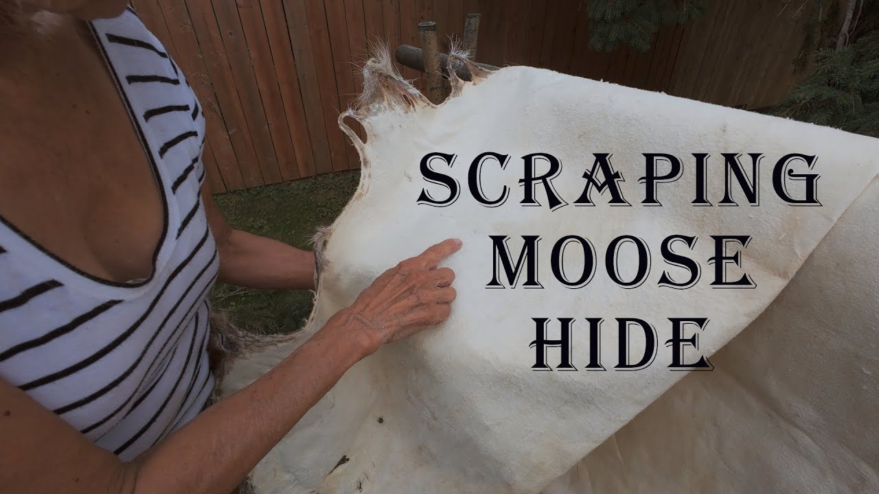 Scraping Moose Hide (4K) - YouTube