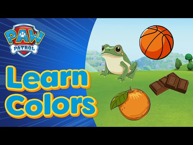 Learning Colors with the PAW Patrol Pups | Learn with PAW Patrol ...