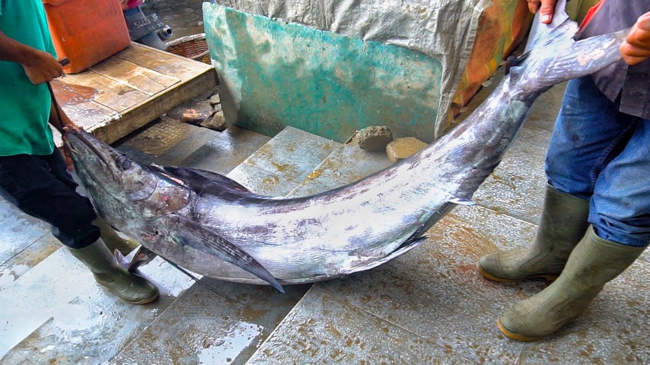 FASTEST FILLET 72 KG MONSTER BLUE MARLIN FISH CUTTING SKILLS FOR SUSHI ...