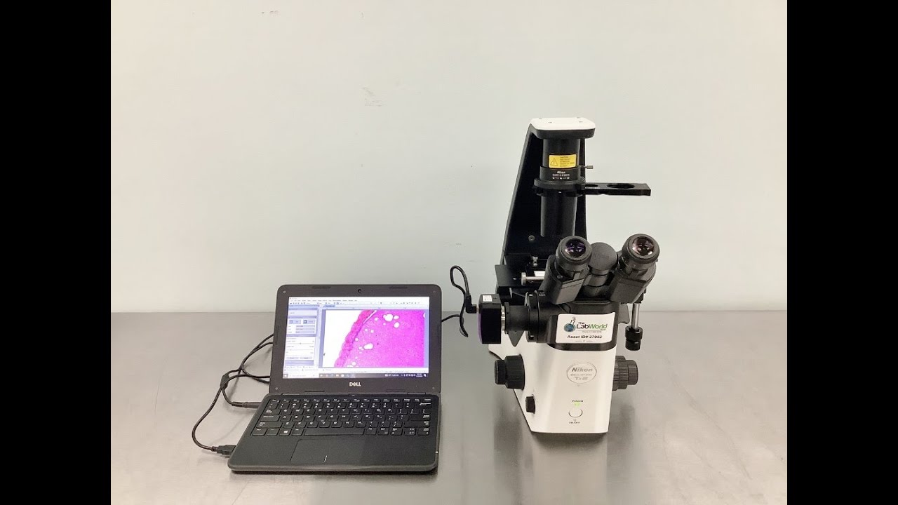 Nikon Eclipse TS2 Inverted Microscope ID 27952 - YouTube