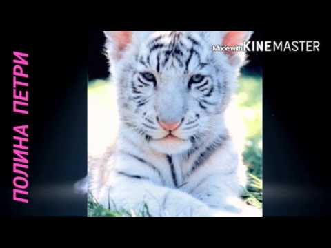 А музыка бум-бум...