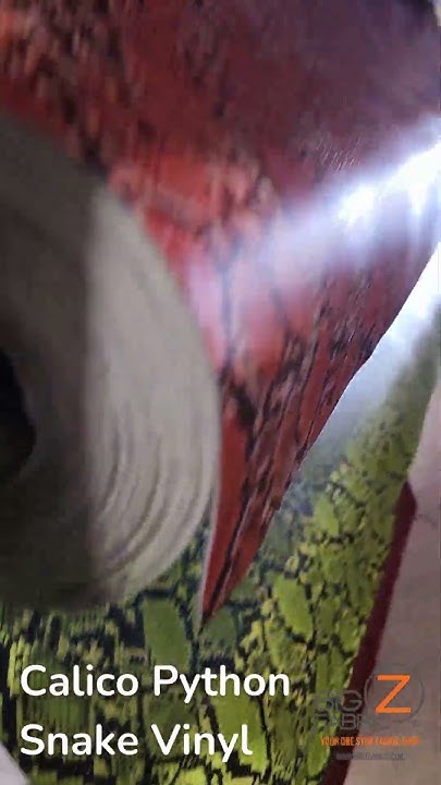 Calico Python Snake Vinyl - YouTube