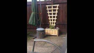 wooden fan trellis plans - Woodworking Challenge