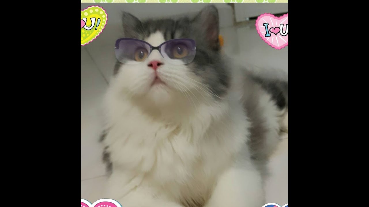 welcome to my livestreaming - YouTube