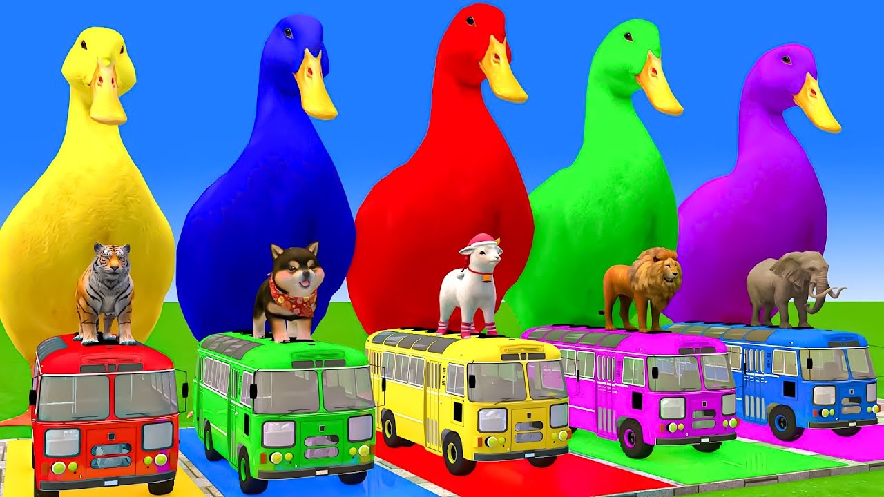 5 Giant Duck Cartoon,Cow,Elephant,Tiger,Lion,Dinosaur,Paint Wild ...