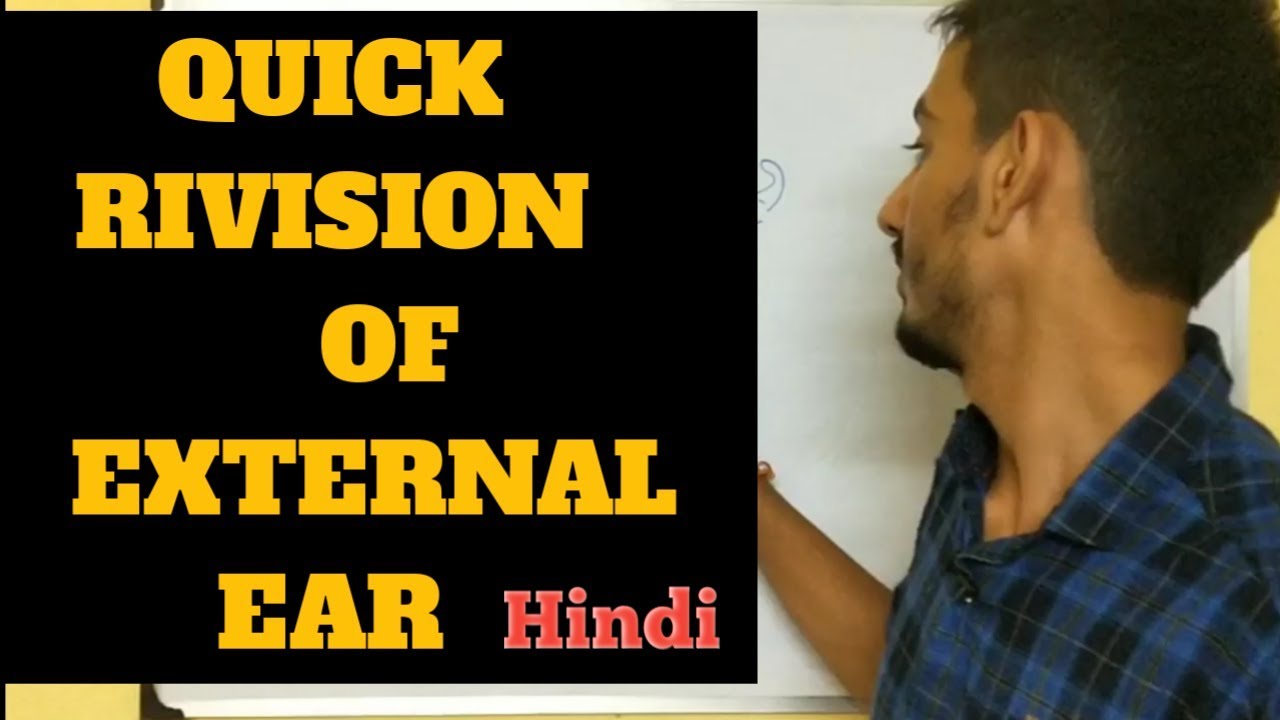 External ear | External ear anatomy | Quick revision of external ear ...
