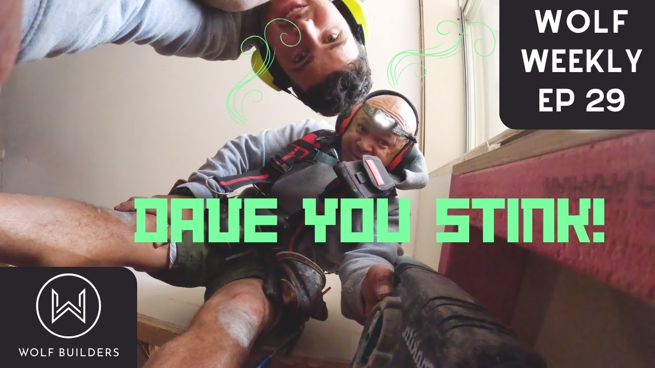 Dave you stink! | Wolf Weekly ep 29 - YouTube