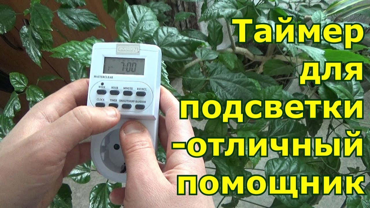 Видеоинструкция по розеточному таймеру для подсветки, фитоламп. Таймер ...