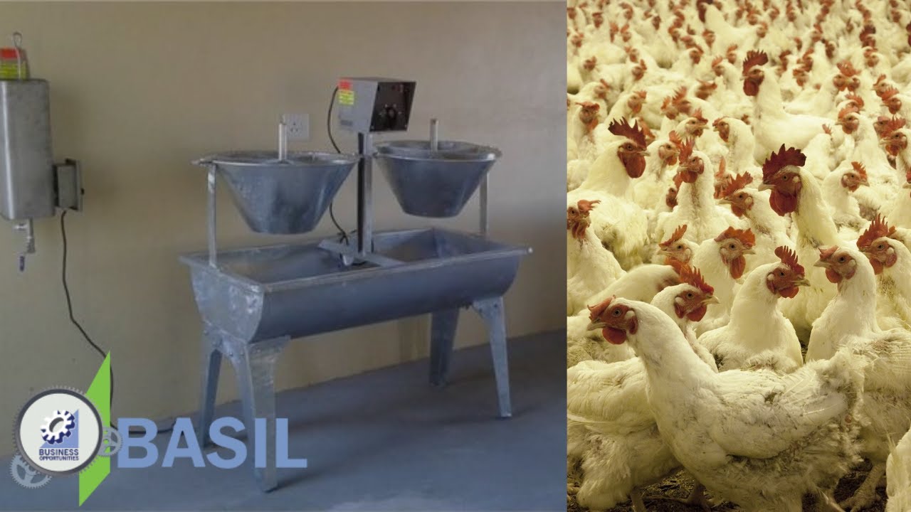 250 Chicken per day Abattoir by BBO - YouTube