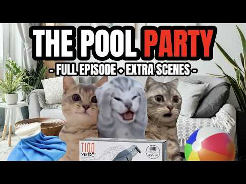 Cat MEMES: THE POOL PARTY + EXTRA SCENES