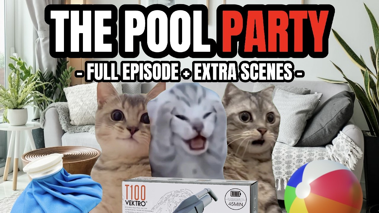 Cat MEMES: THE POOL PARTY + EXTRA SCENES - YouTube