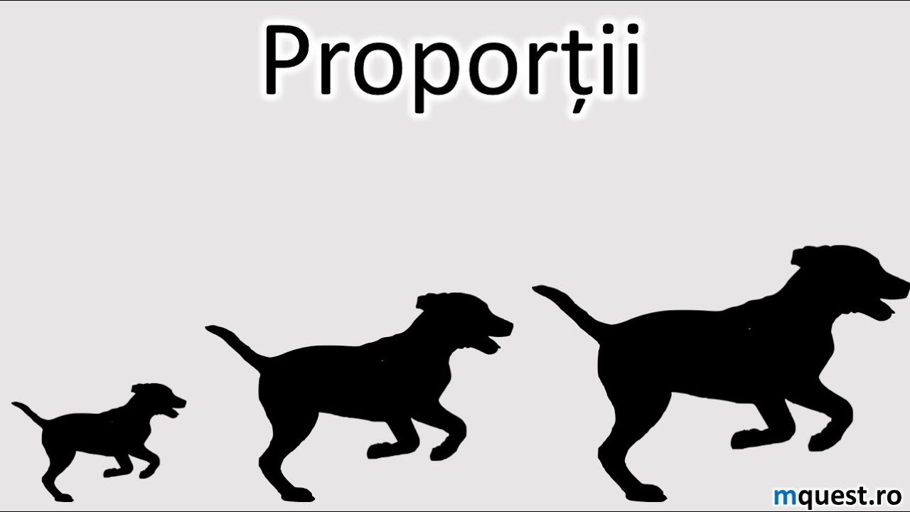 Proportii, clasa a VI-a - YouTube