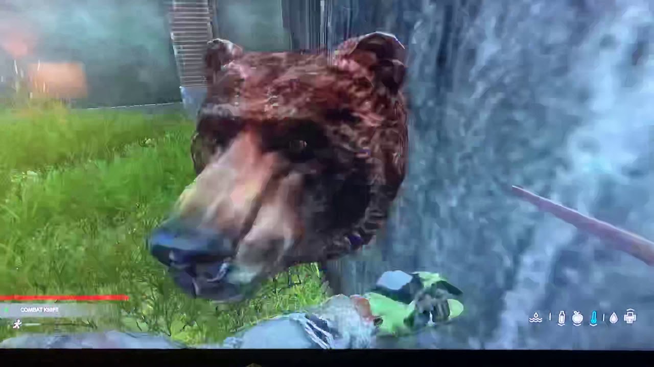 DayZ_MAN VS. BEAR 🐻 VS. 😂 - YouTube