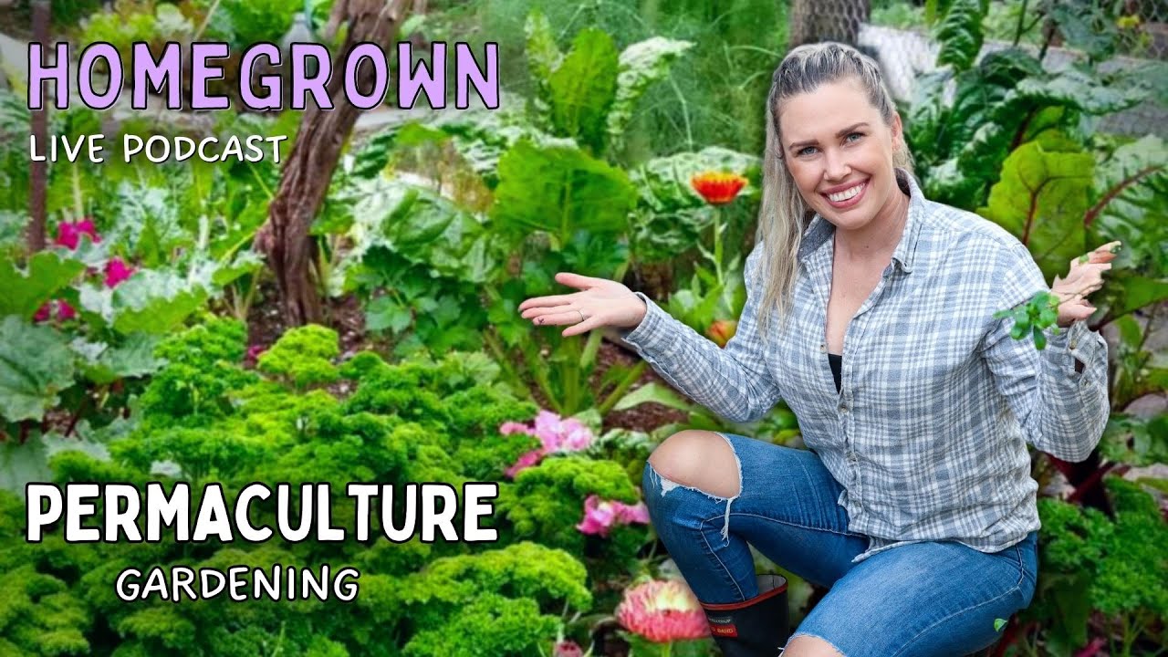 Natural Pest SOLUTIONS for Healthy Edible Gardens 🐌 finding balance in a permaculture garden ...