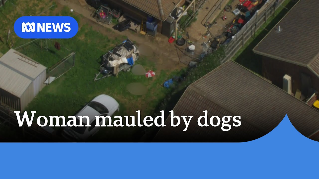 Woman in critical condition after being mauled by three dogs in ...