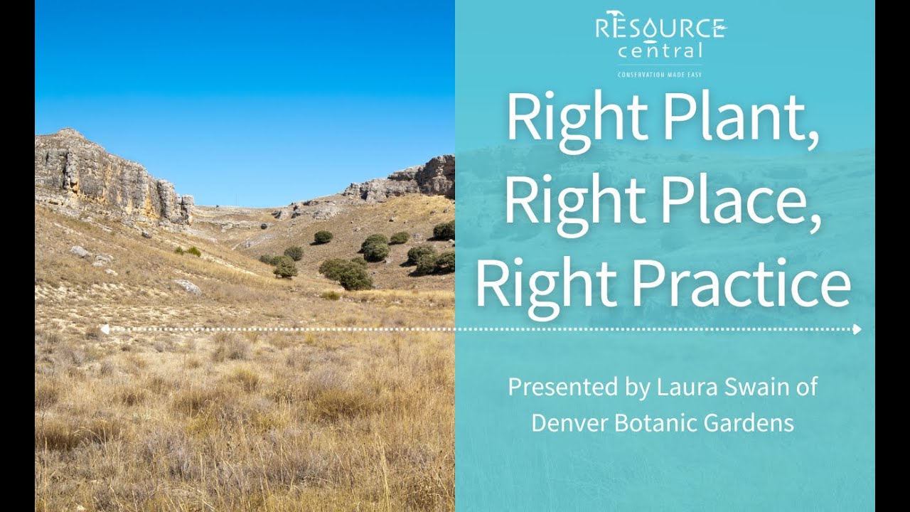 Right Plant, Right Place, Right Practice! - YouTube