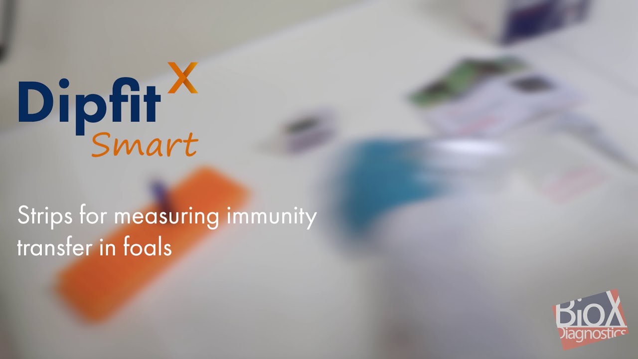 BIOK441 Dipfit™ Smart IgG Foal Tuto (EN) - YouTube