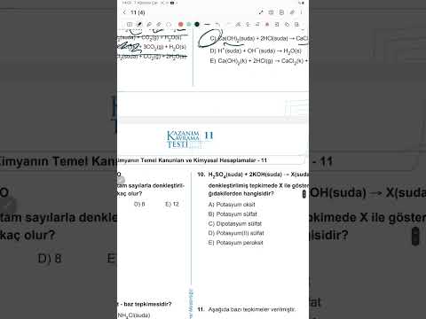 10.sınıf güncel meb kazanım kavrama testi 11 2024 DETAYLI ANLATIM