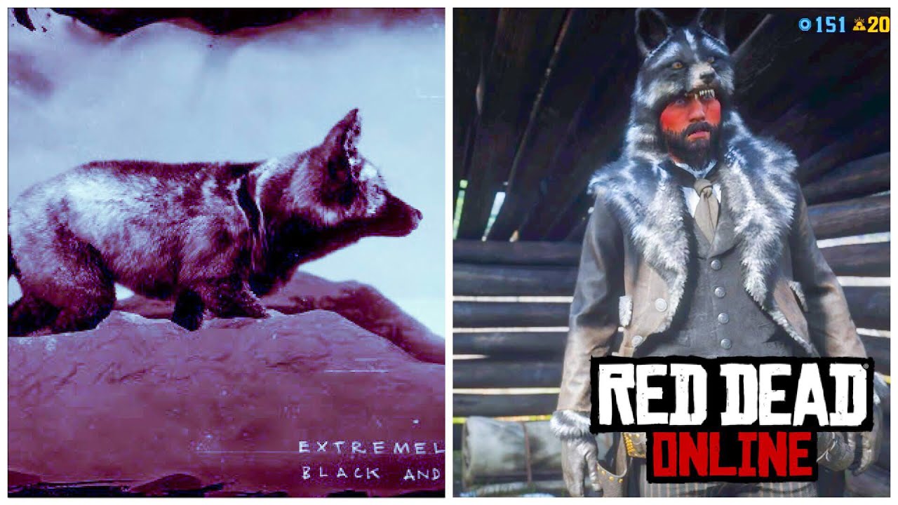 Red Dead Online - Legendary Marble Fox Location Guide [Naturalist Role ...