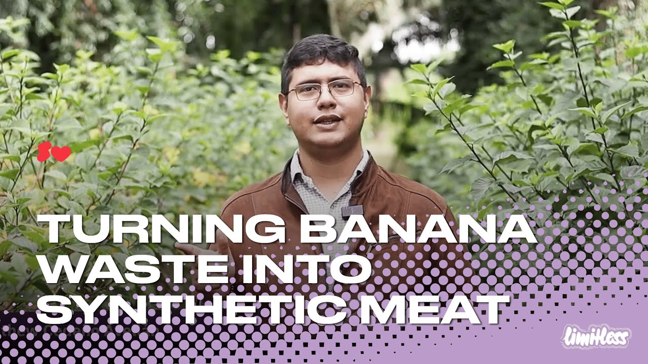 How Banana Waste Can Become Synthetic Meat: Mathew Cedeño Avellán's ...