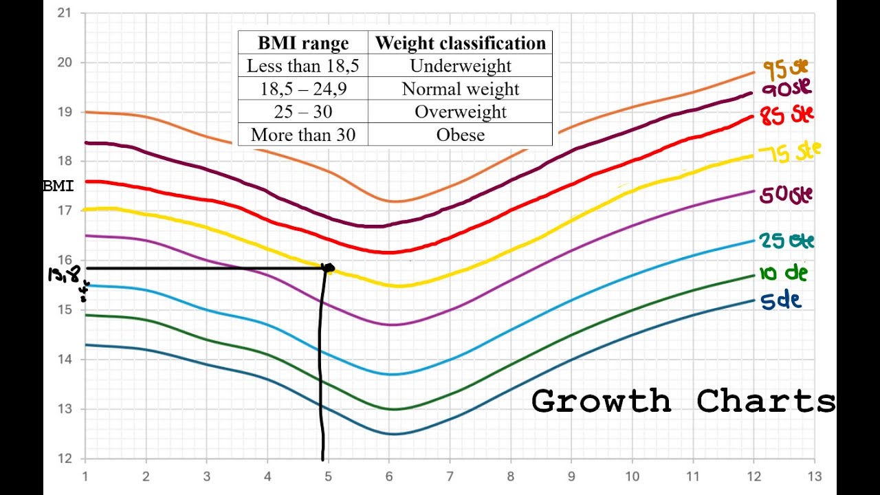 BMI and growth charts Gr11& 12 Maths Lit - YouTube