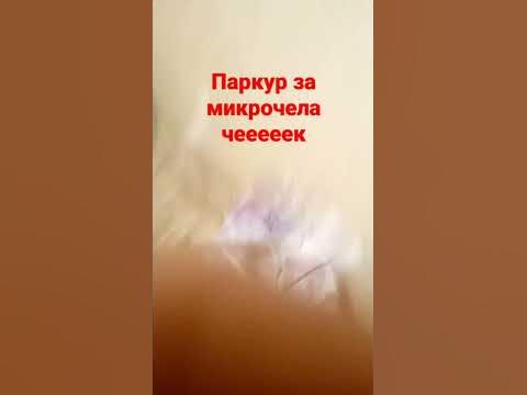 микрочелик - YouTube