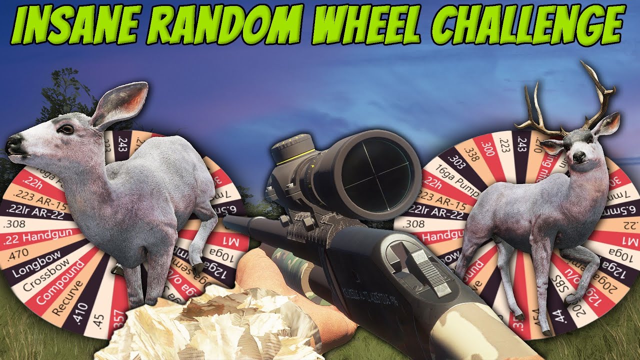 INSANE Random Wheel Challenge Goes From Trophies To Tragedy FAST! Call ...