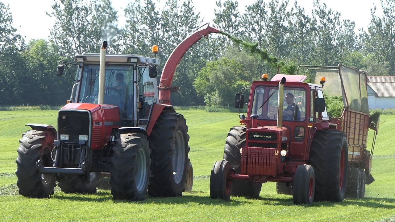 Silage Day 2021 - Full Event | Massey Ferguson 3680, Volvo BM 810 Turbo ...