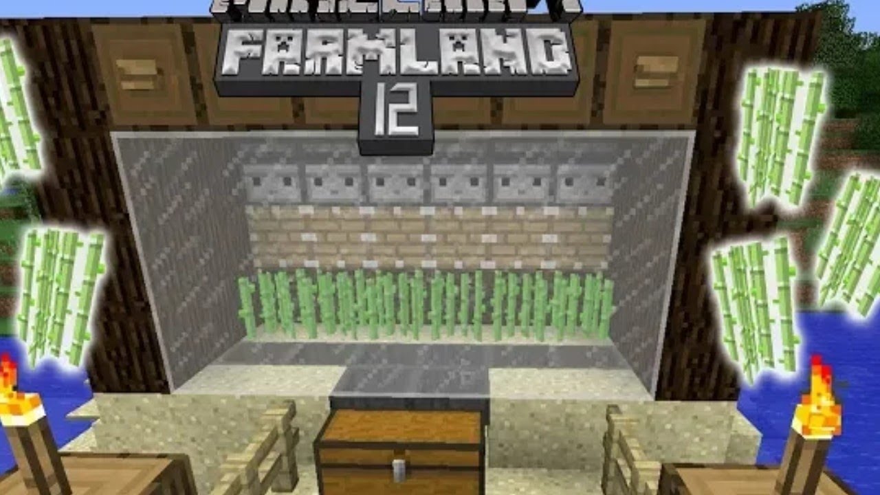 #13,come fare la farm di canna da zucchero - Minecraft ita - YouTube