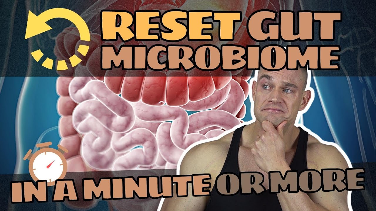 End-Stage FULL Gut Microbiome Reset With Peptide LL-37 #shorts - YouTube
